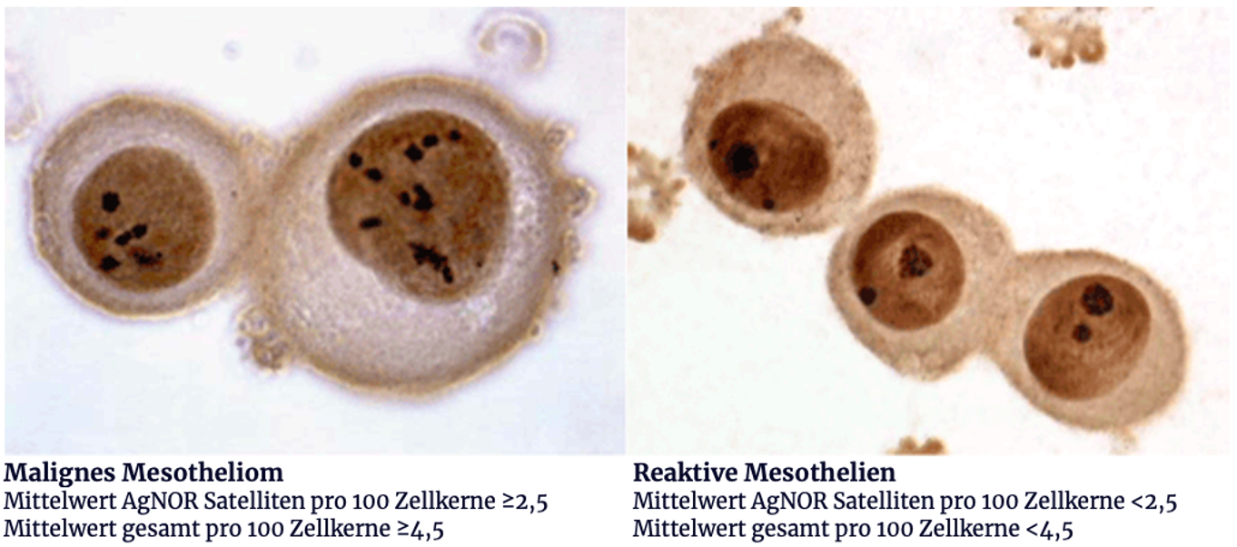 Diagnostisches Spektrum ǀ UKD