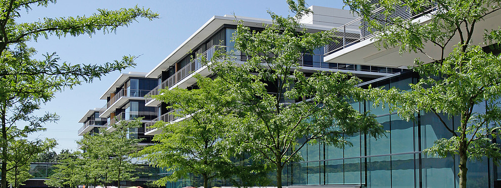 Über das UKD ǀ UKD